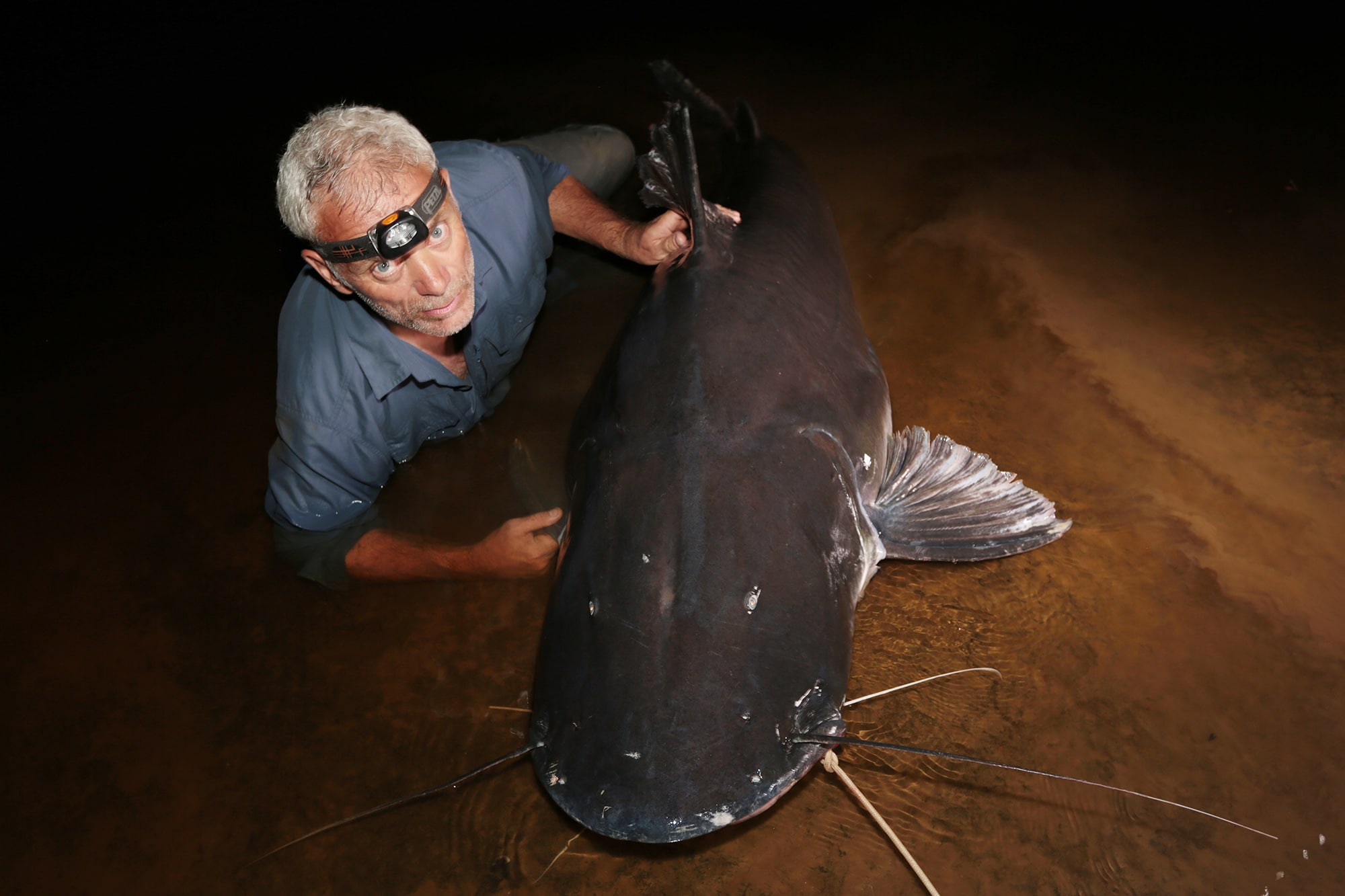 Conserving freshwater fish: an interview with Jeremy Wade ...